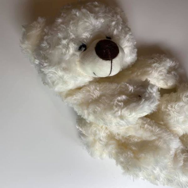 Build a Bear Box - The Den